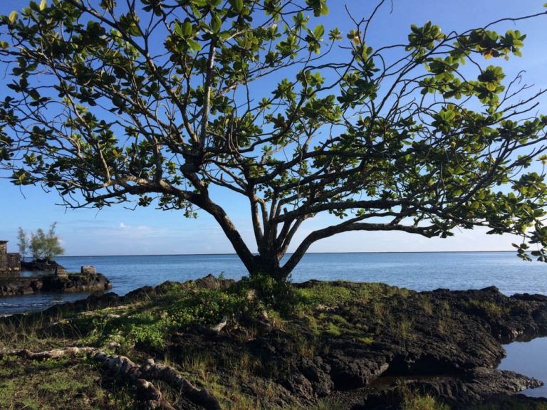 Suggested Itinerary for Visiting the Big Island Hawaii: 15 Things to ...