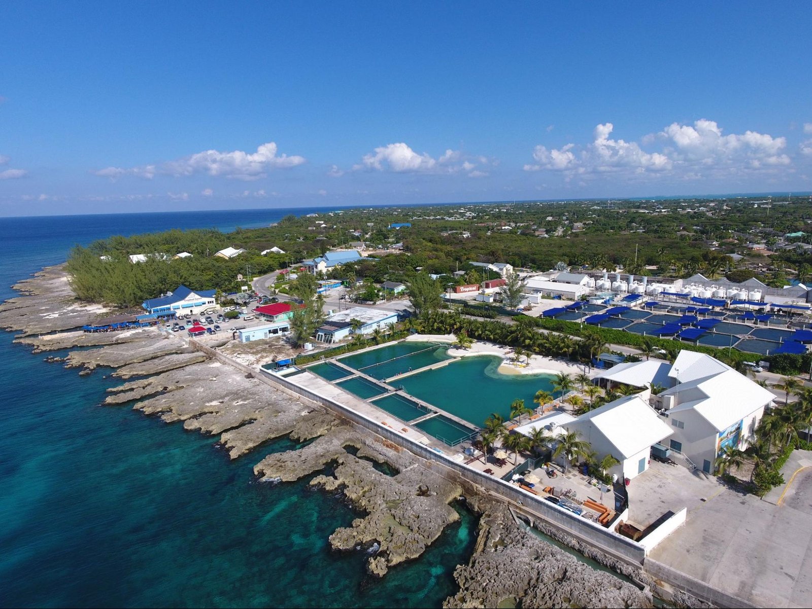 Unique Water Sports to Try in Grand Cayman – American Travel Blogger
